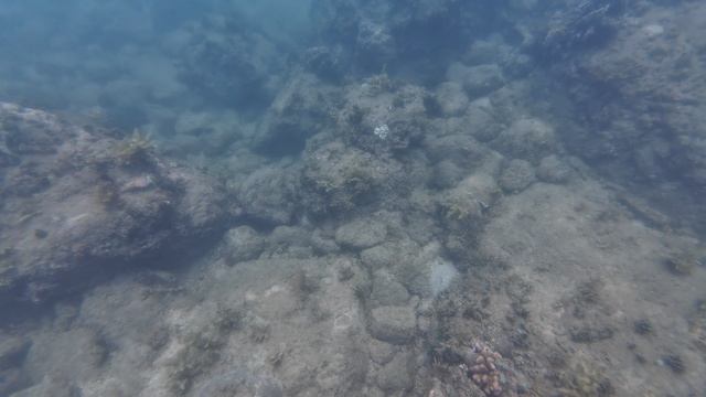 Ня Чанг, Вьетнам, острова под водой 21 февраля 2025. Nha Trang. 13