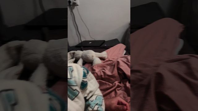 2025 04 05 У ЕВЫ В ГОСТЯХ 4К.mp4