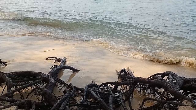 Сиануквиль , Камбоджа, пляж. 27 февраля 2025 г. 1