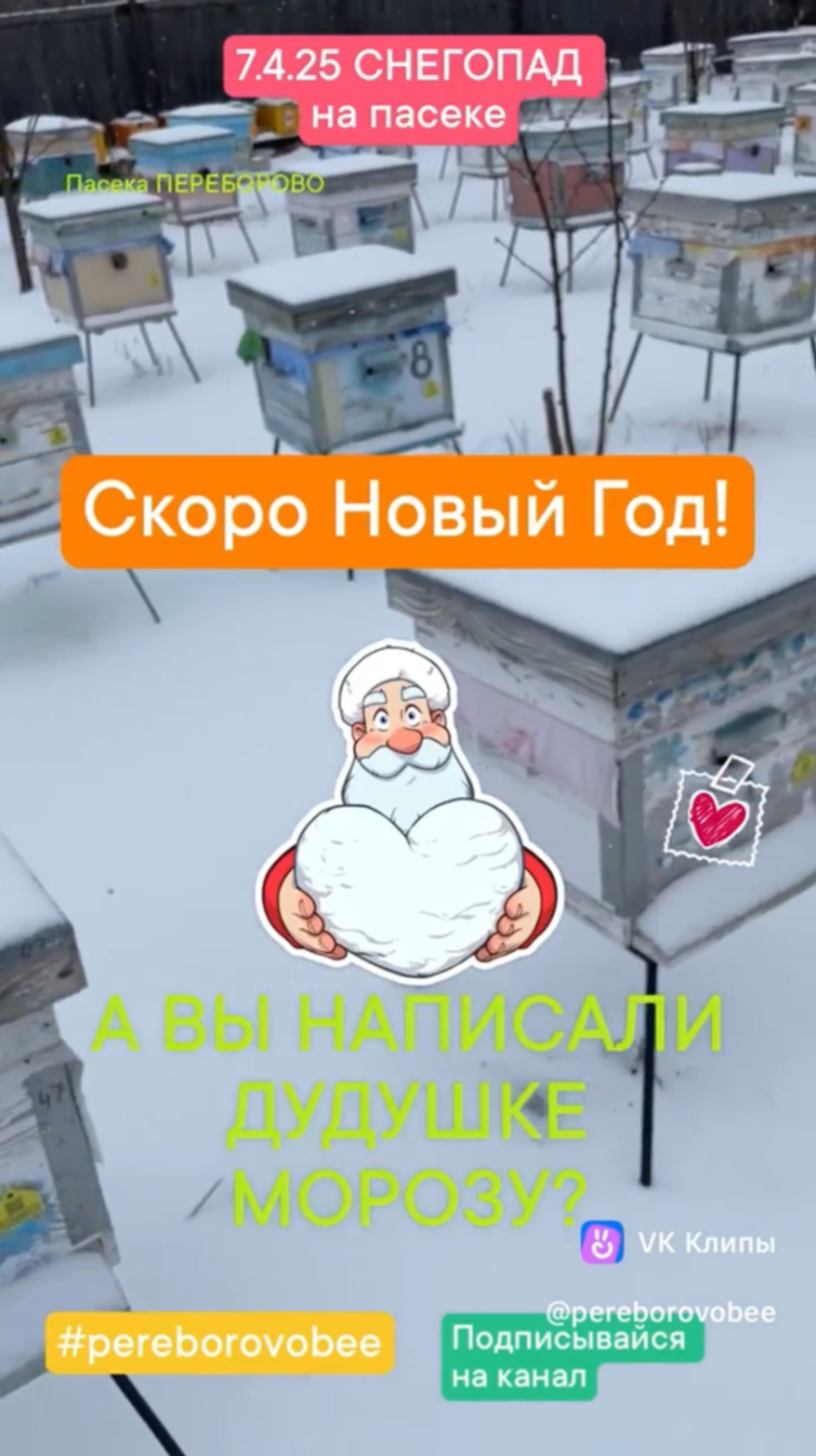 Снегопад на ПАСЕКЕ! #pereborovobee #пасека #пчеловодство #улей #пчёлы #весна