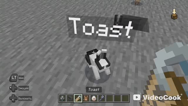 Магия бирки в майнкрафт:перевёрнутый моб, радужная овечка, страшный кролик, очень злой поборник.