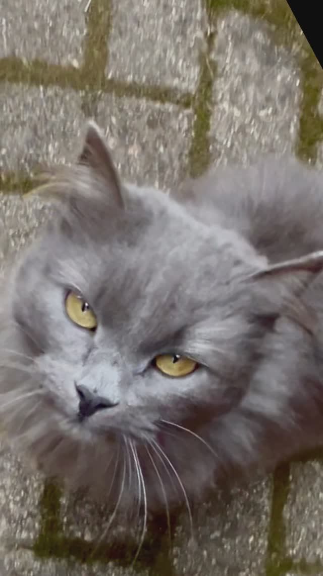 Вообще-то я красавица…