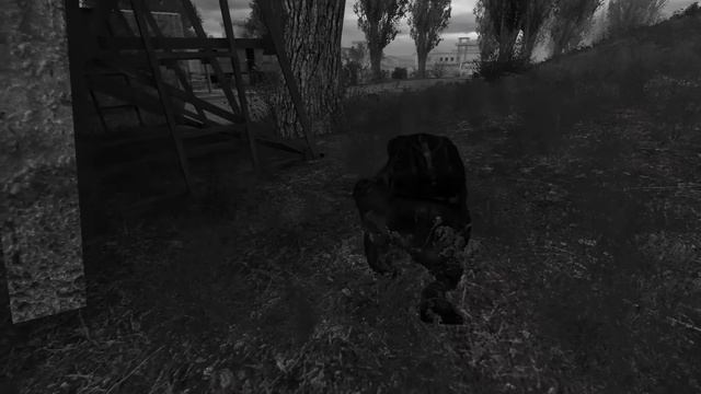 Вспоминая былое... (СТАЛКЕР - ТЕНЬ ЧЕРНОБЫЛЯ)