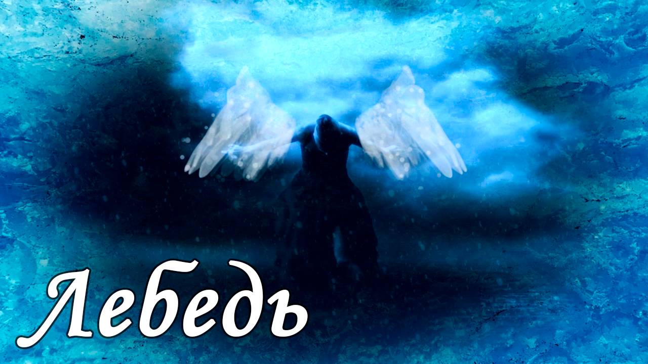 Лебедь — Анастасия Ведерникова