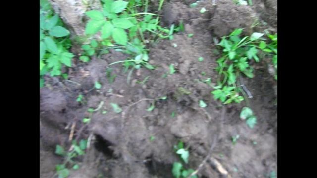 И вновь продолжается бой.