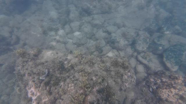 Ня Чанг, Вьетнам, острова под водой 21 февраля 2025. Nha Trang. 12