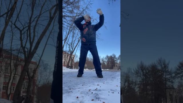 Ицюань (1334 день) Туйтуо и Чентуо Чжуан / Чжанфа прямой метод - открытой ладони  (6.04.25)