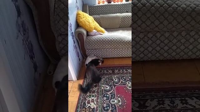 После обеденный перерыв