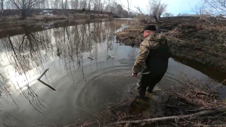 Кто то шатает кол! 😮 #батя #рыбалка