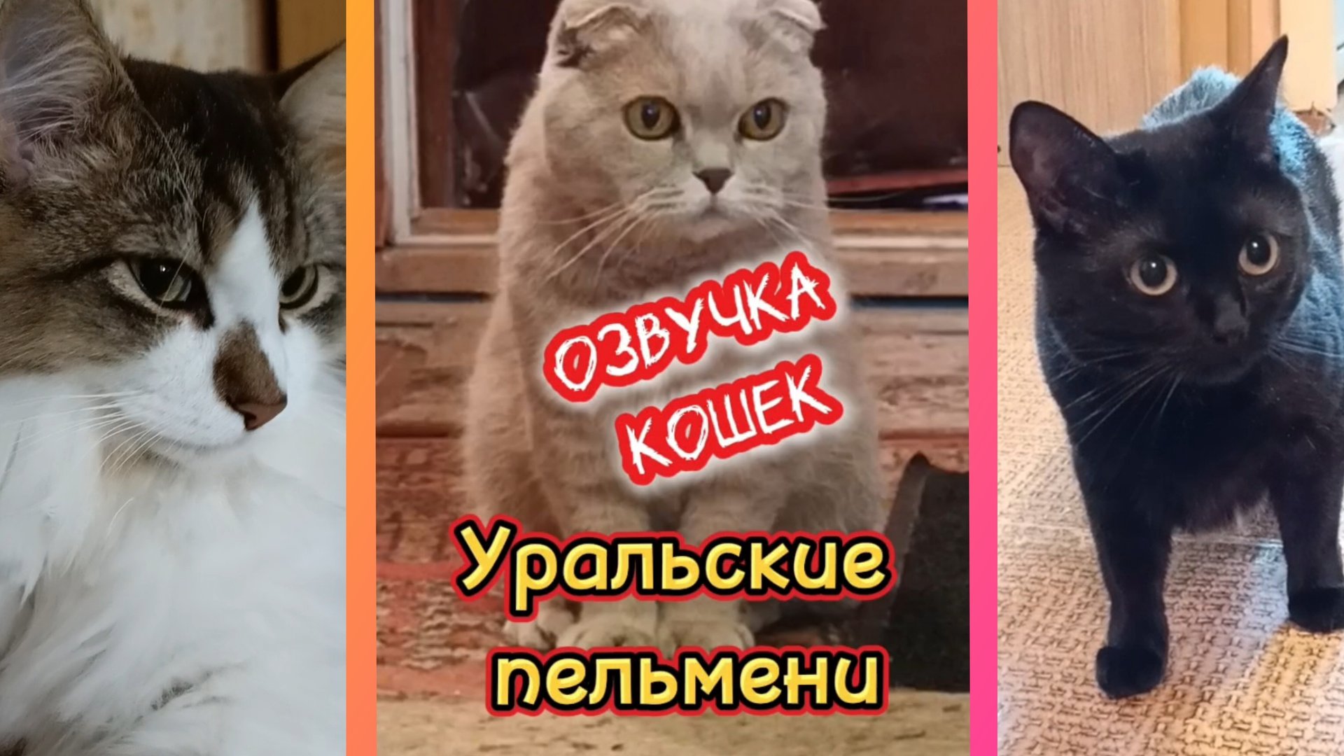 Кошки с озвучкой. Уральские пельмени