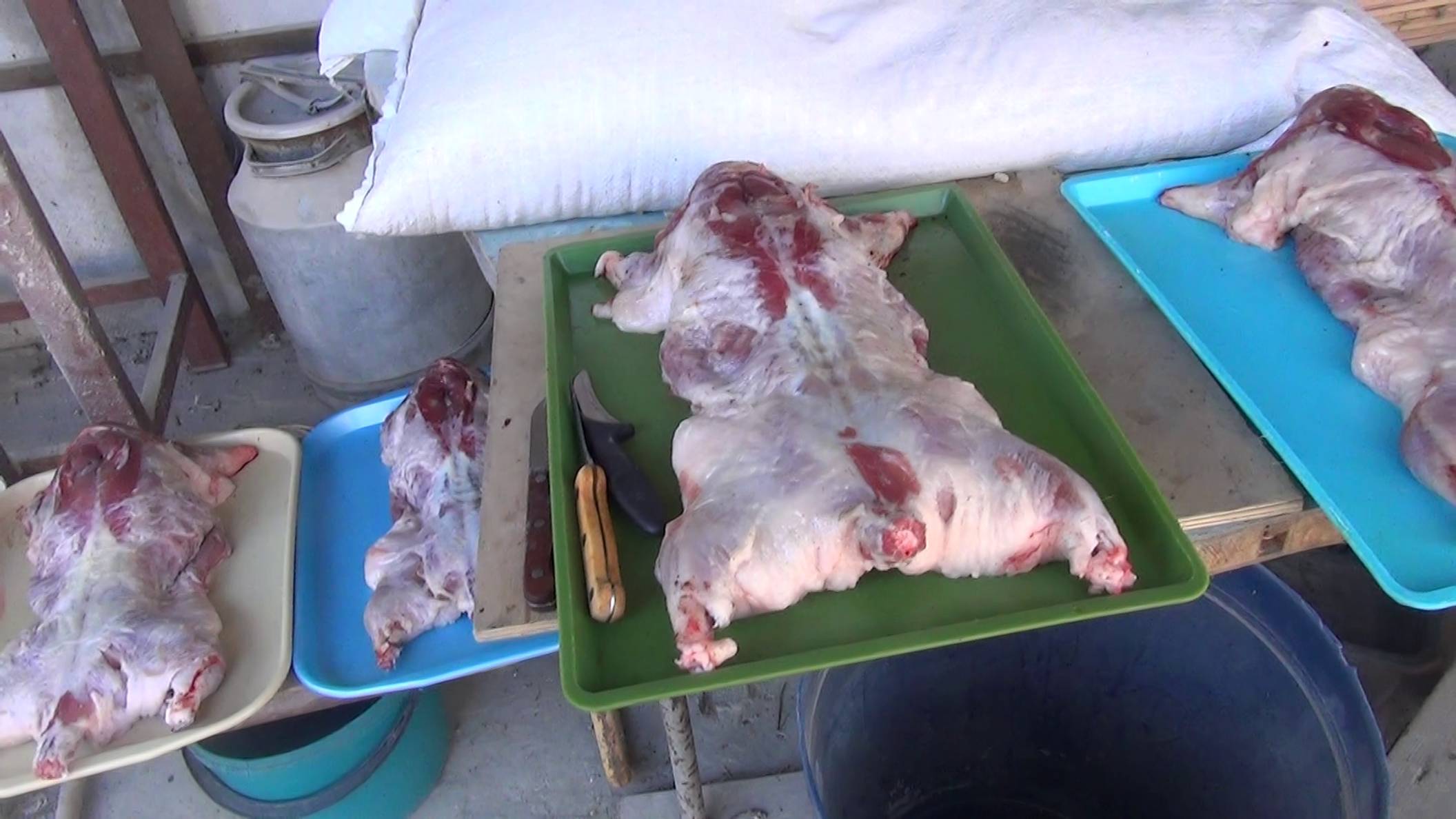 Нутрия сокращение забой на мясо осмотр тушки