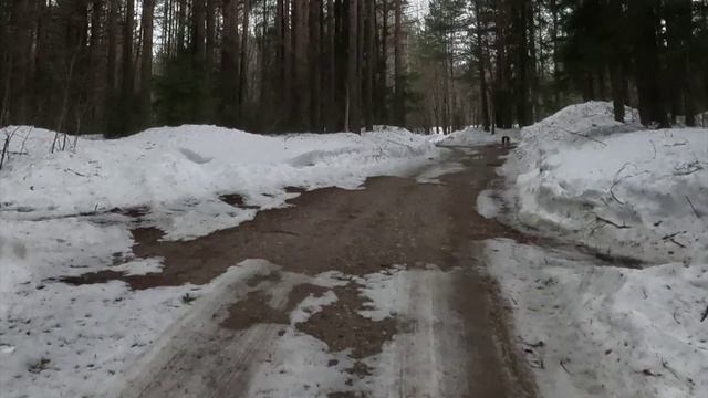 Вот Джаз к нам идет