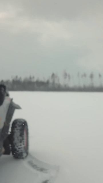 Оторвали колесо у багги. Покатушки в лесах Рязани. Мещеры.