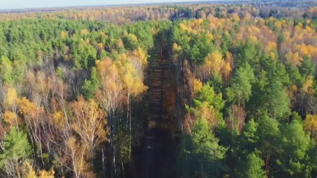 Раменский. Часть 1. Идиллия