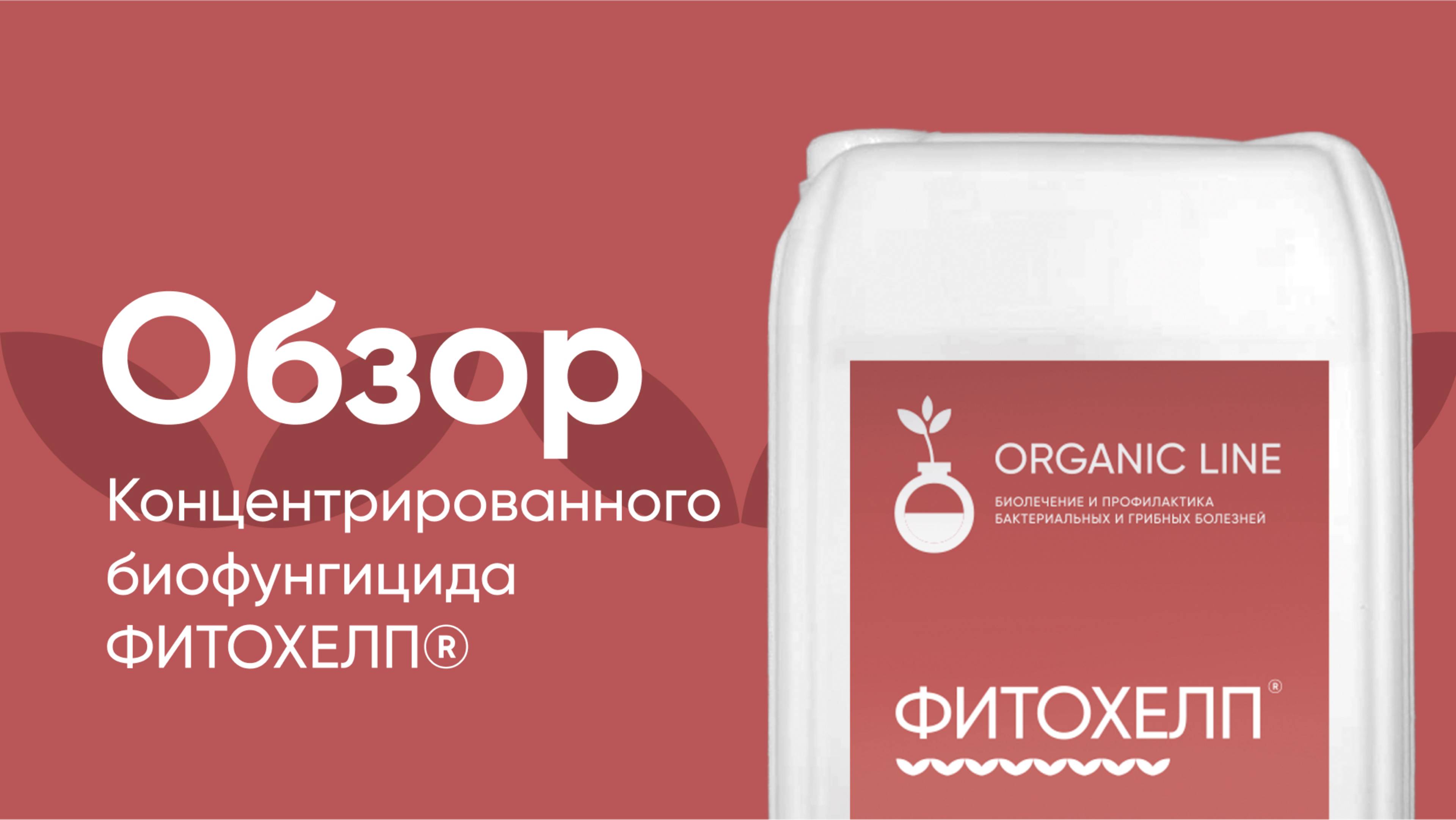 Обзор концентрированного биофунгицида ФИТОХЕЛП®
