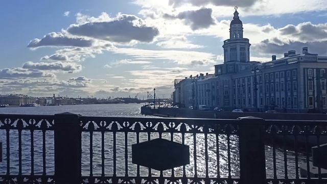 Петербург весной из окна 11 троллейбуса