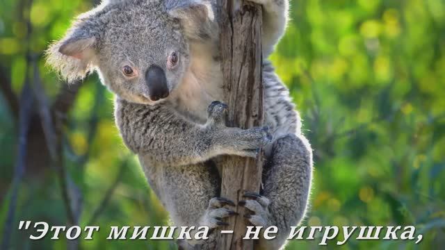 ТИШЕ ЕДЕШЬ - ДАЛЬШЕ БУДЕШЬ!