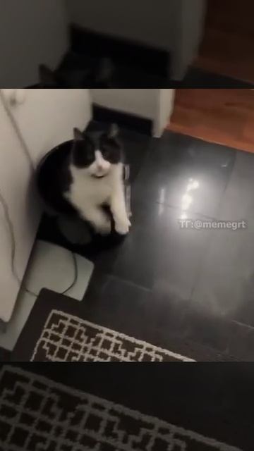 Операция «Ведро» началась!