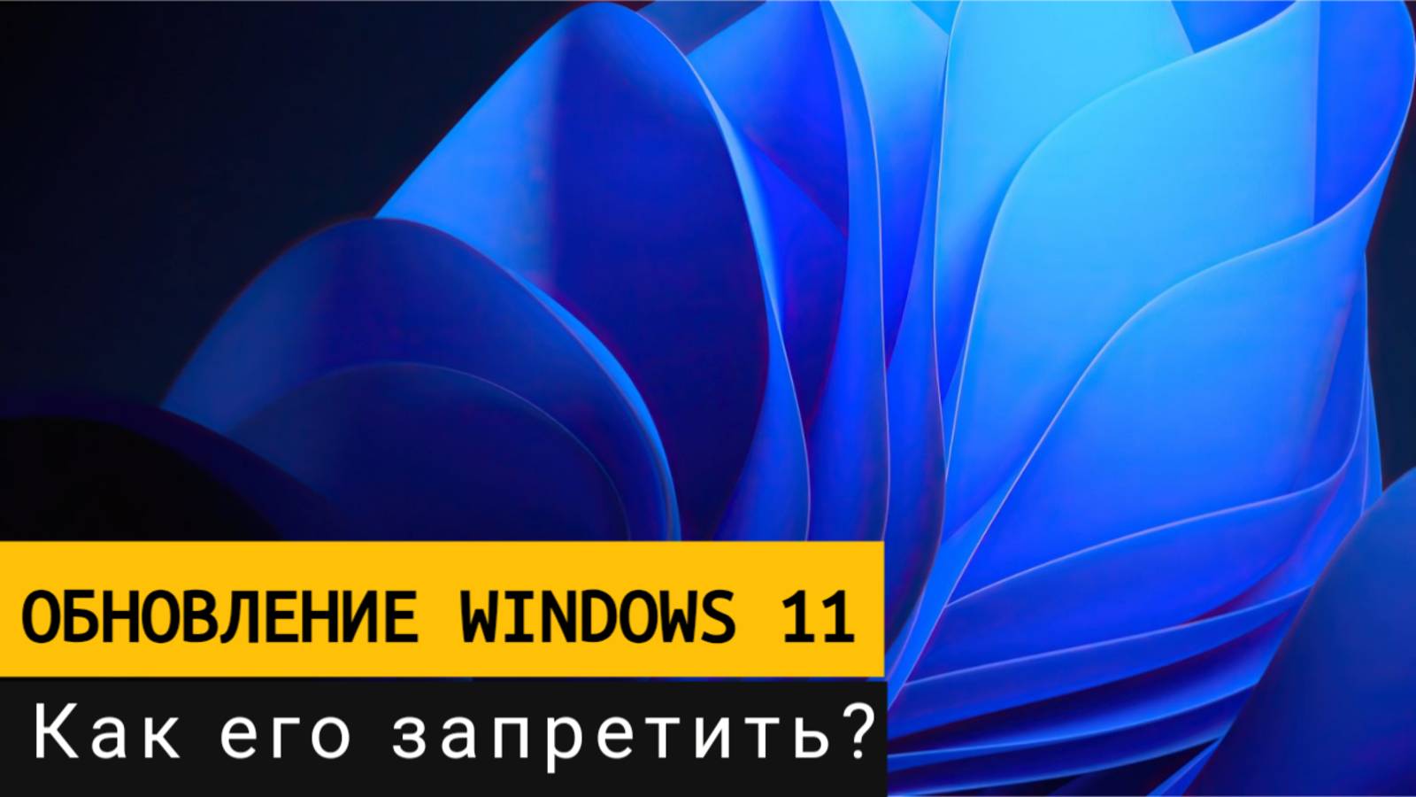 Обновление Windows 11 и как его запретить?
