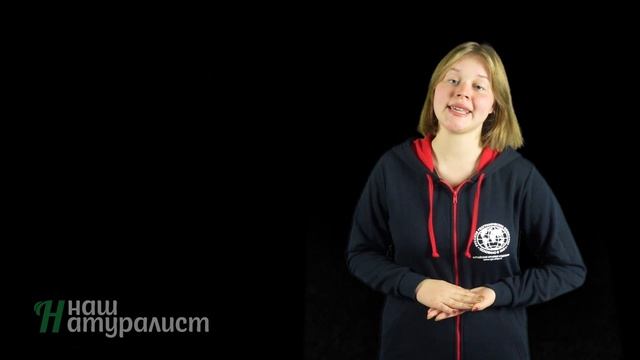 Сохраняем и исследуем. История фенологических исследований