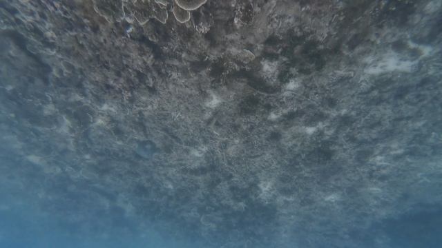 Ня Чанг, Вьетнам, острова под водой 21 февраля 2025. Nha Trang. 5