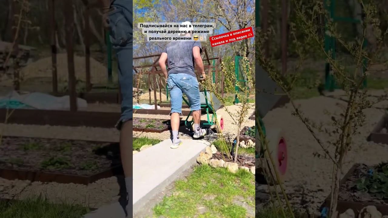 Станичная кубанская жизнь! #краснодарскийкрай #переезднаюг #жизньнаморе #загородныйдом