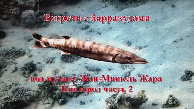8. Встречи с барракудами под музыку Жан-Мишель Жара Кислород часть 2 HD 1