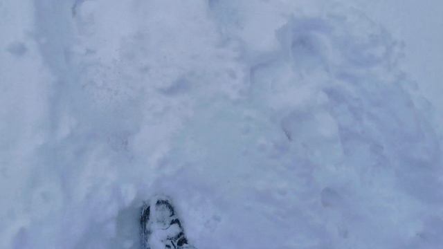 Апрельский снегопад в Смоленске