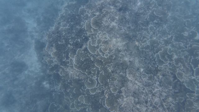 Ня Чанг, Вьетнам, острова под водой 21 февраля 2025. Nha Trang. 2