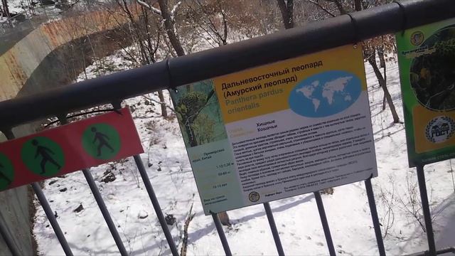 Дальневосточный Сафари Парк. Март 2025 года Владивосток. Хищники.