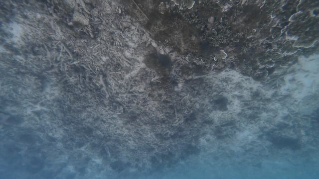 Ня Чанг, Вьетнам, острова под водой 21 февраля 2025. Nha Trang. 4