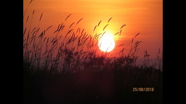 2018 .На рыбалке с Даниилом