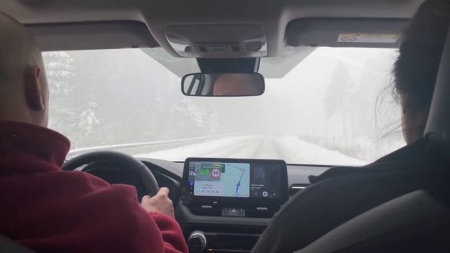 сквозь снег