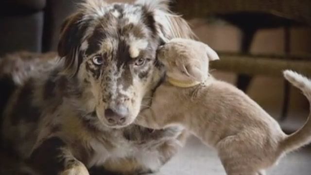 ВСЁ БУДЕТ ХОРОШО!