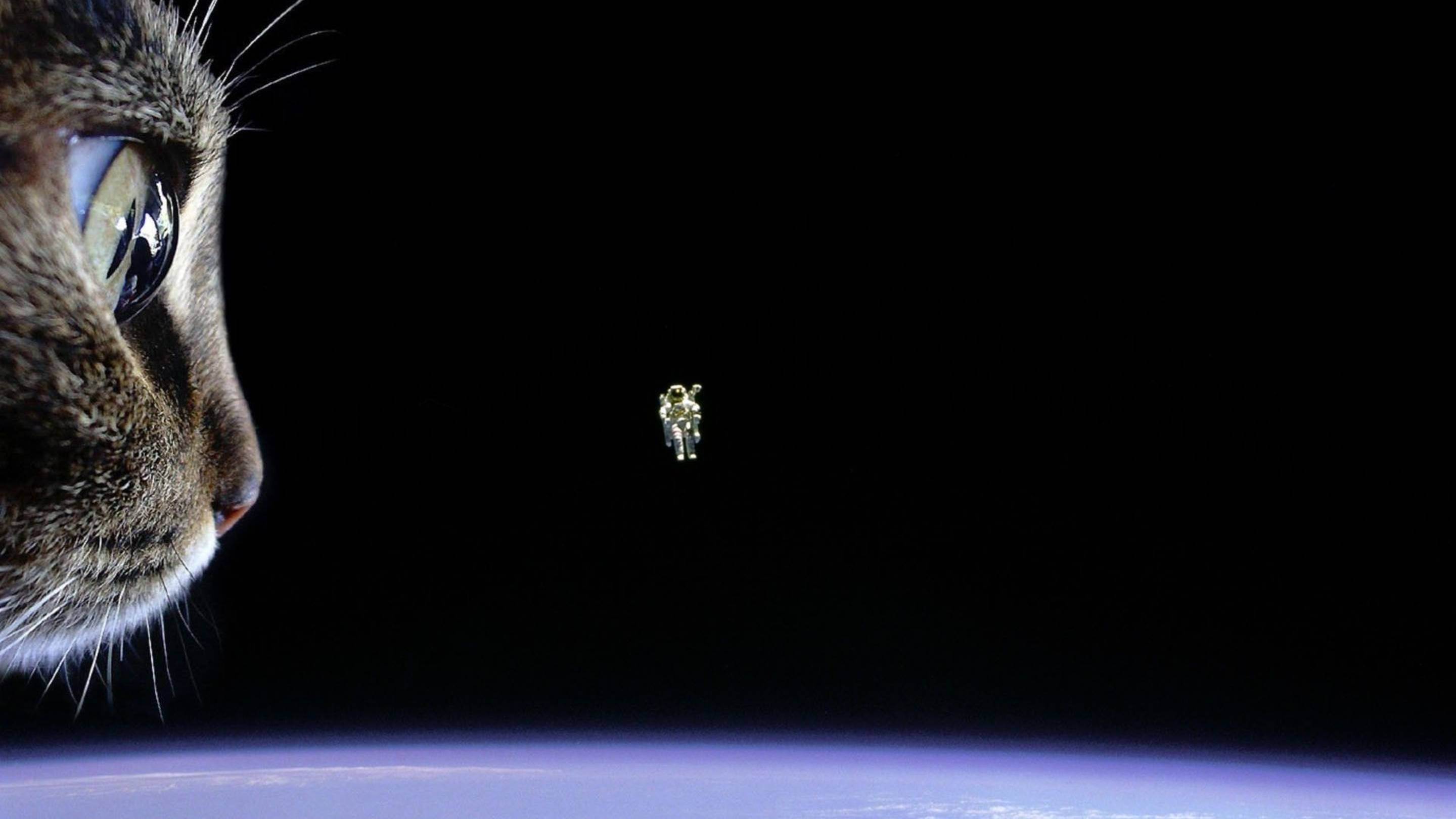 я снемаю Фелюшку  под музыку_ * _* _*