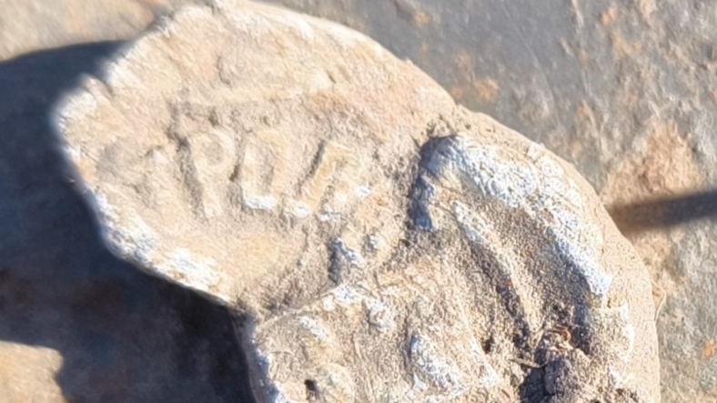 МегаКоп фунда с МД весна 2025/2