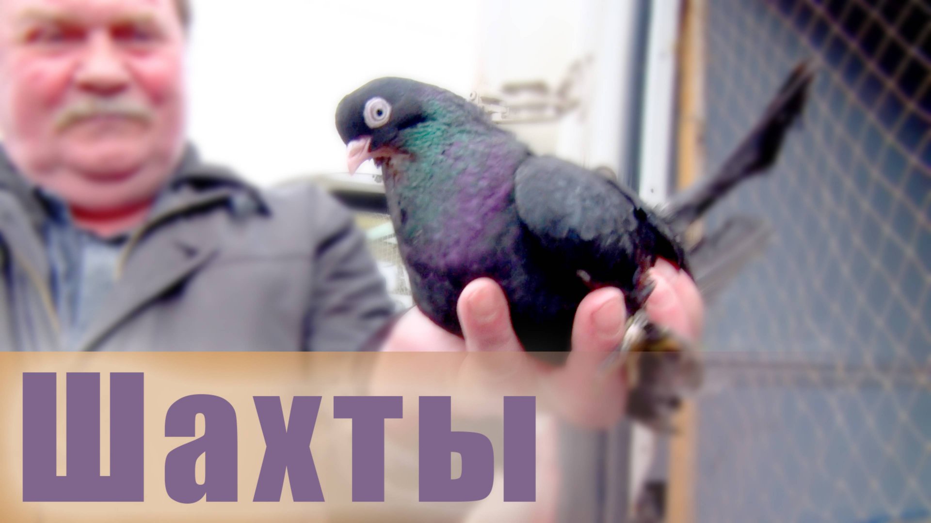 Птичий рынок. Шахты. [06.04.2025]