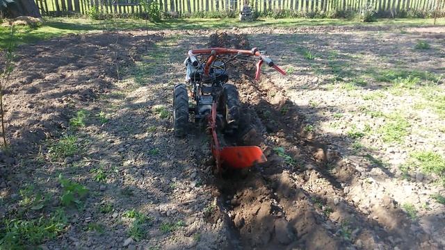 Мотоблок Кутаиси с родным плугом