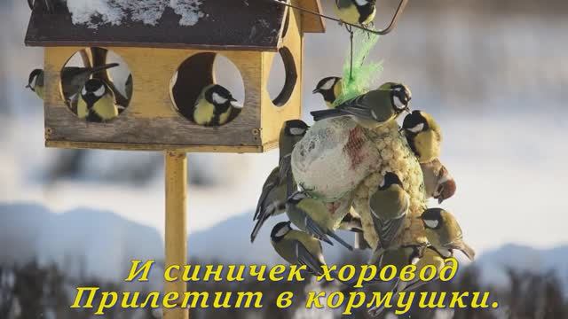 С ДНЁМ ПТИЦ! С любовью о птицах.