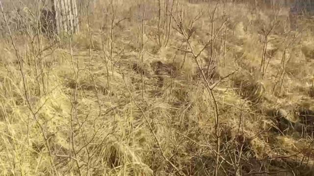 чёрное село часть 1