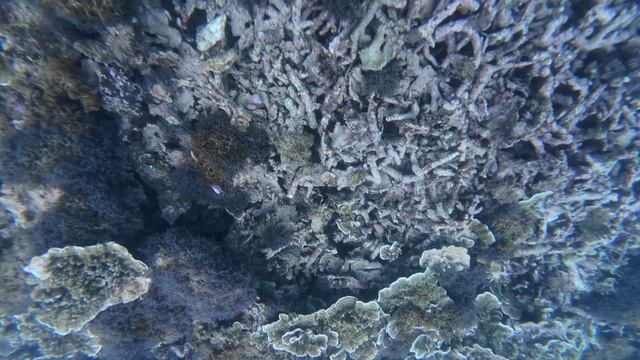 Ня Чанг, Вьетнам, острова под водой 21 февраля 2025. Nha Trang. 6