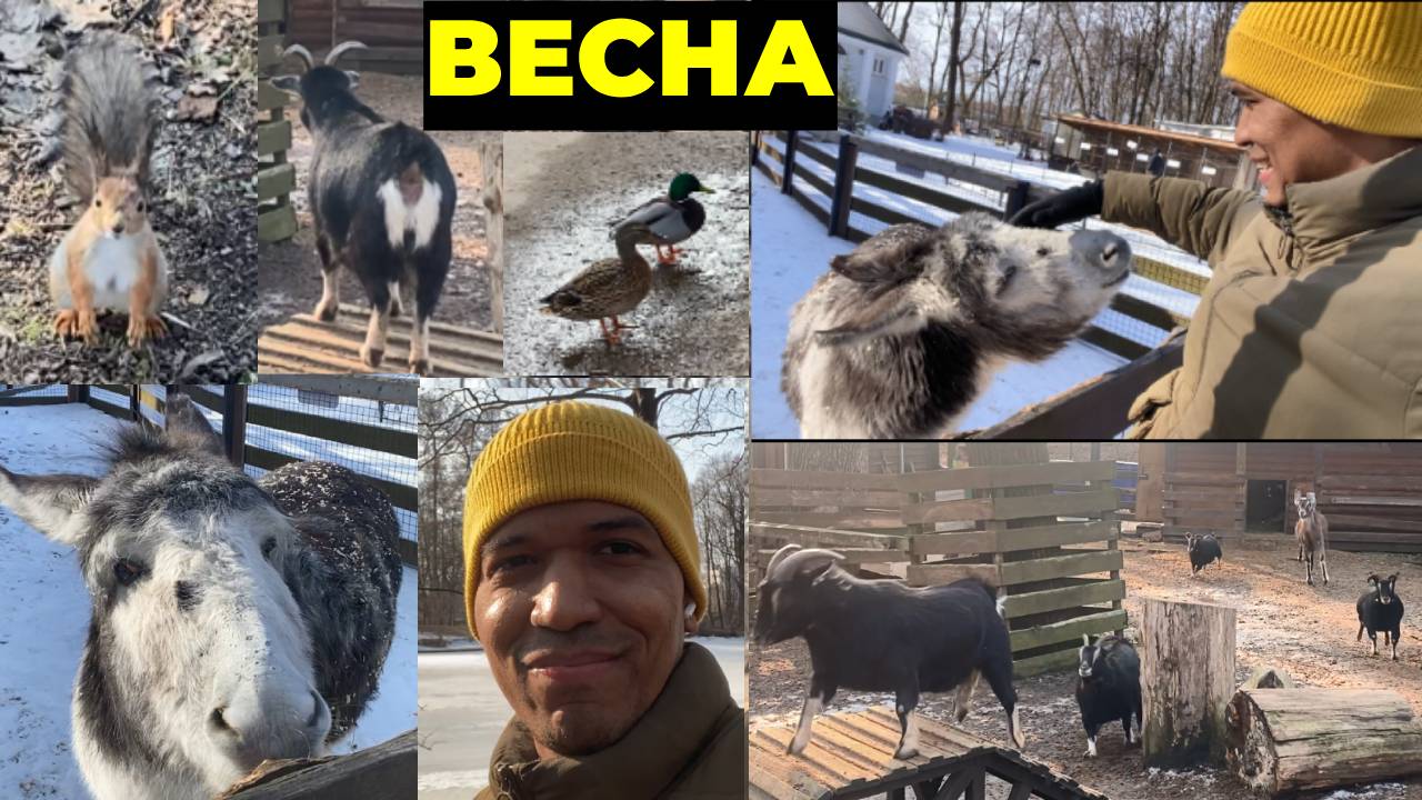 ПРАКТИКА АУДИРОВАНИЯ ИСПАНСКОГО: ✅ ВЕСНА - Primavera🔥