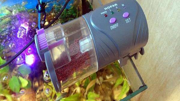 Аквариум. Мутная вода в аквариуме. Кондиционеры для аквариума