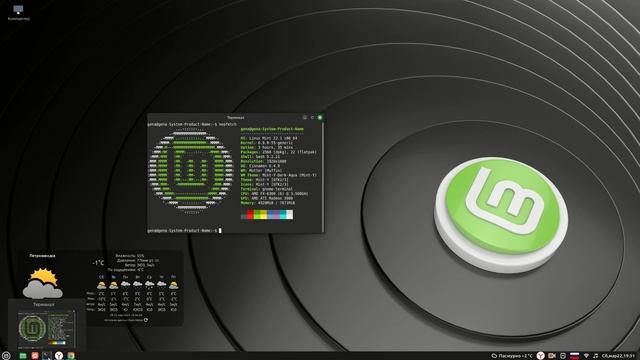 Linux Mint 22.1 Cinnamon на процессоре AMD