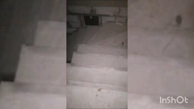 Монолитная лестница.