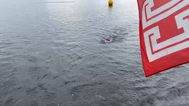 Эстафетная гонка по плаванию "Жирный пингвин", 14-05-2023