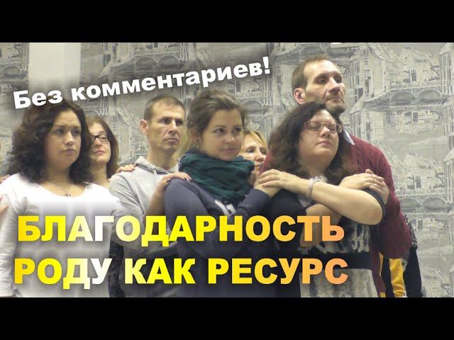 (без комментариев) РАССТАНОВКИ по ХЕЛЛИНГЕРУ. Благодарность роду как ресурс. Брежнева Елена