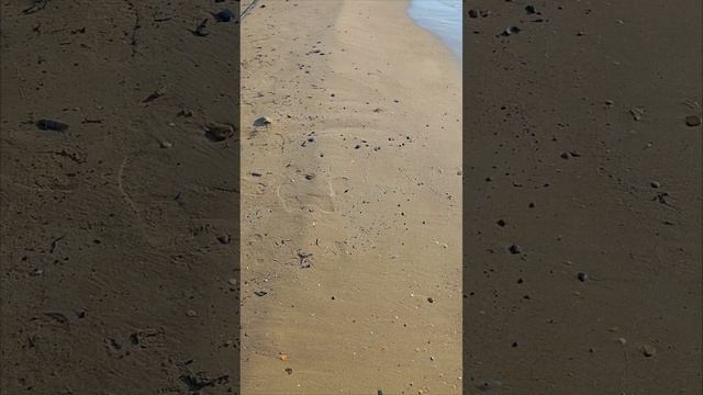 Выброс мазута в Анапе после шторма, 8 апреля 2025 года