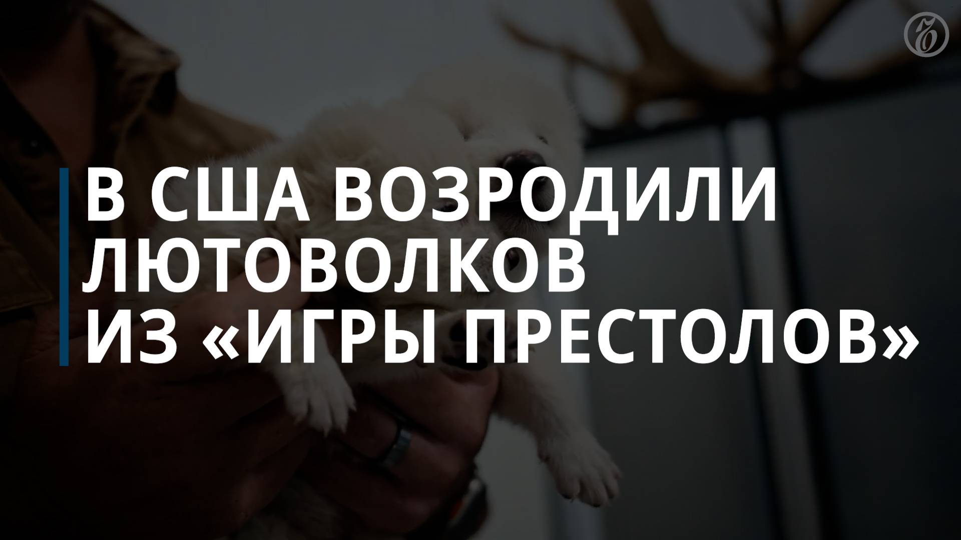 В США возродили лютоволков из «Игры престолов»