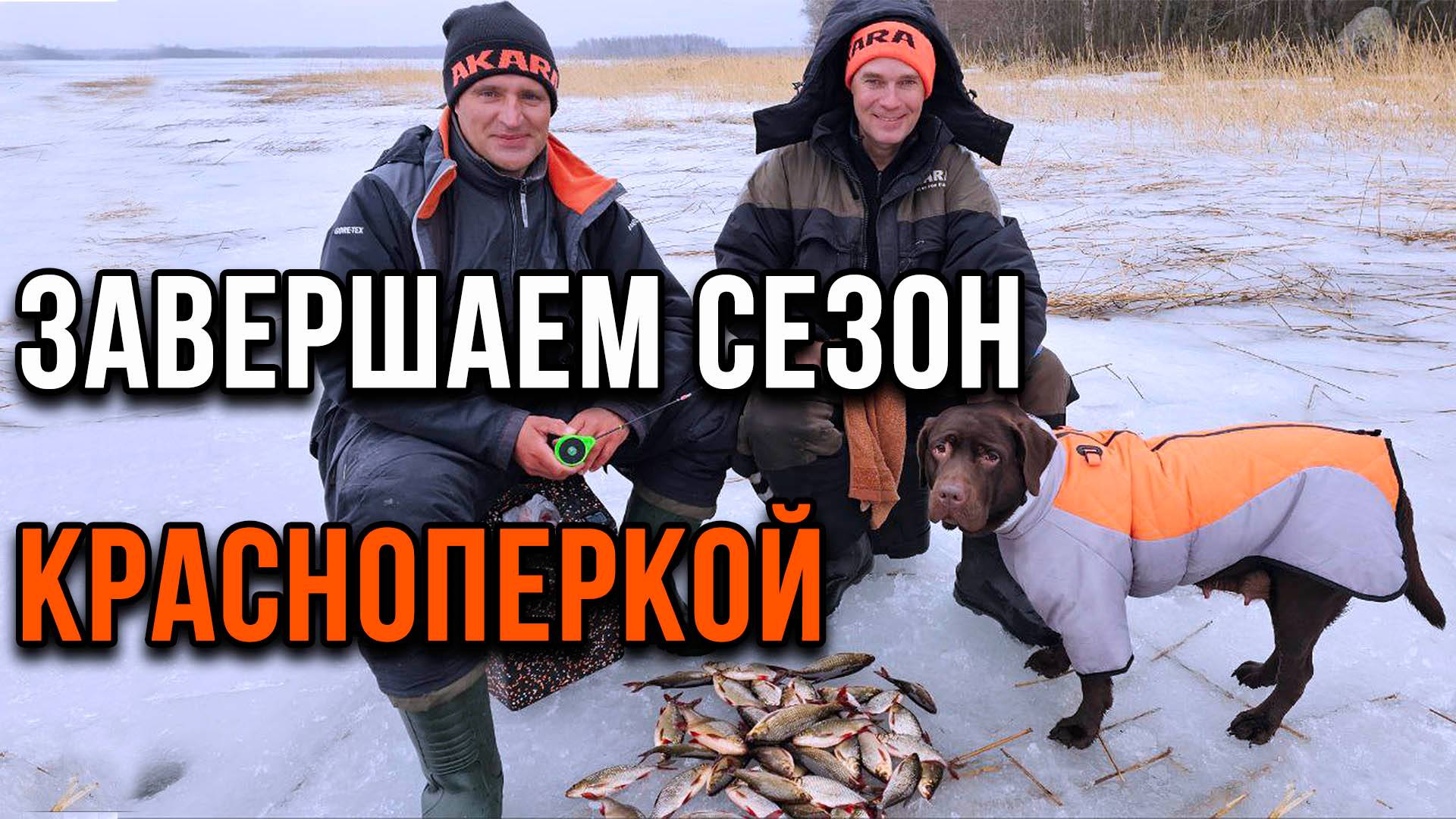 Завершаем сезон красноперкой.